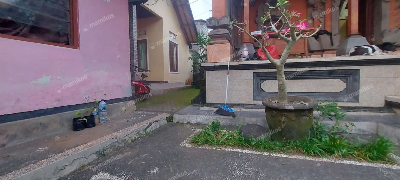 Kost Ibu Kasni Tipe A Ubud Gianyar